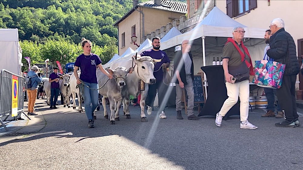 Grande foire de Tarascon sur Ariège une tradition ancestrale